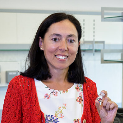 Dr. Carmen Isabel Alvarez Lorenzo - Orbital